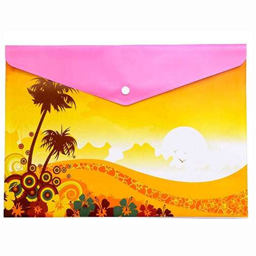 Versatile Plastic Folders 34 cm [ 5 pcs ] – COOL BOSS